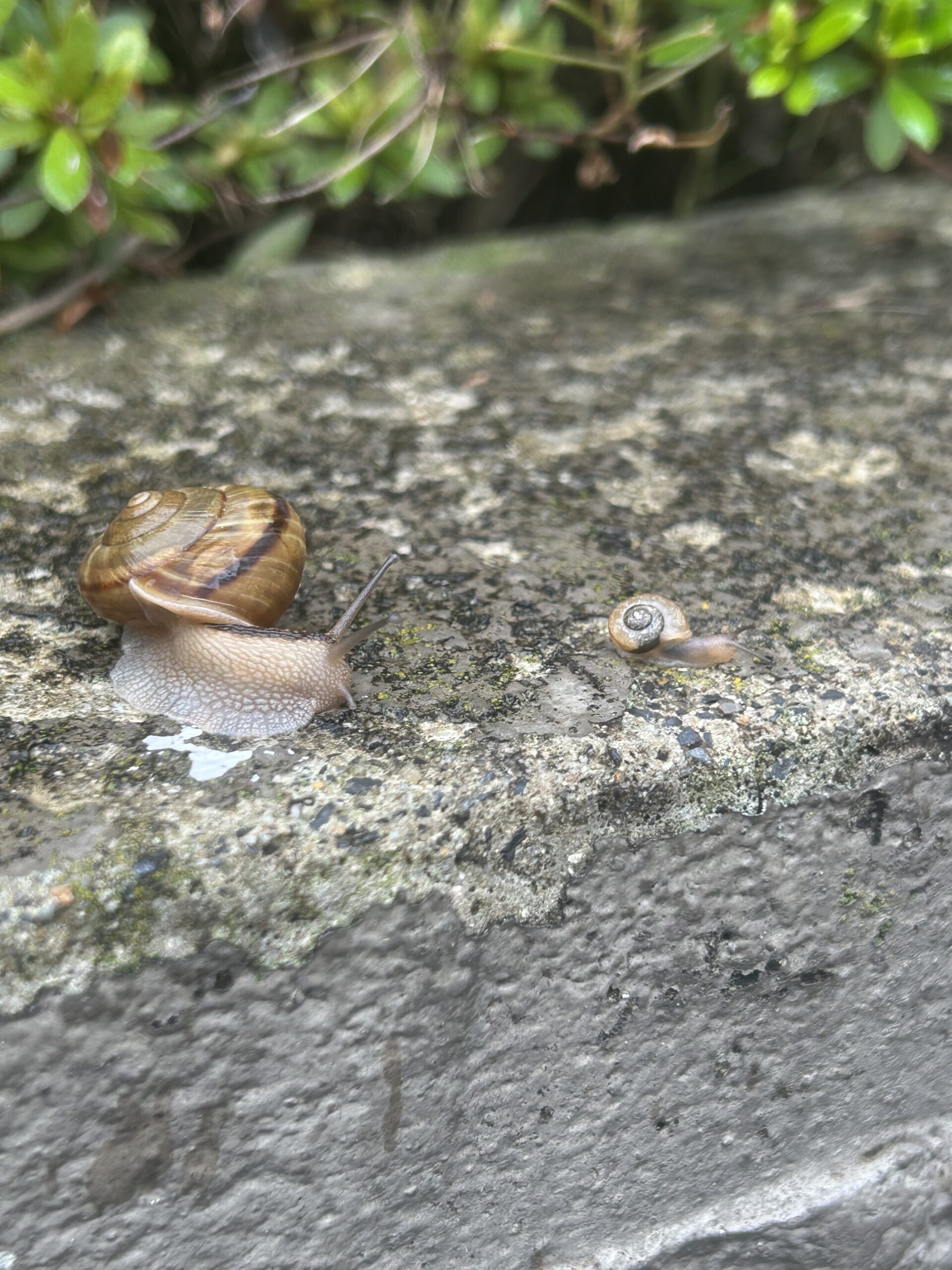 同じ艇に乗りたい - KYOTO UNIV. ROWING CLUB